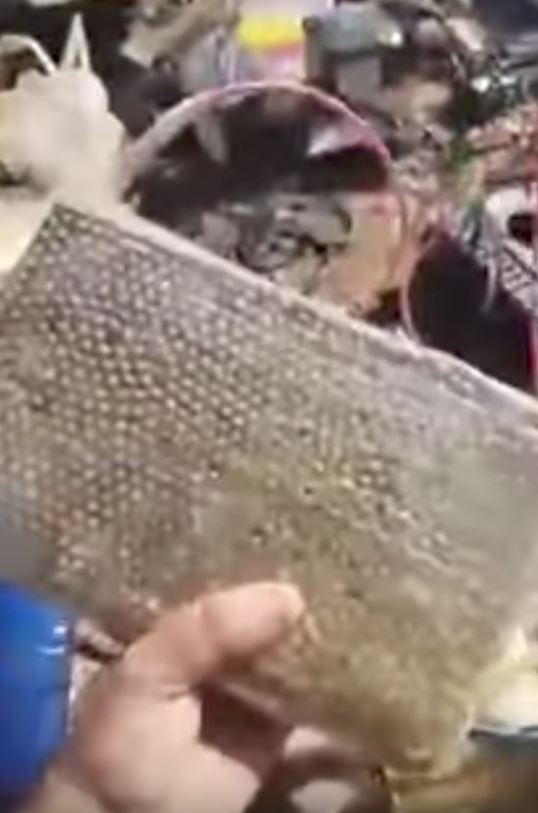 Large Explosives Cache Seized in Yemen – IED Awareness